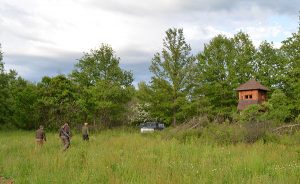 Types of Hunting - TennesseeHogRifle.com